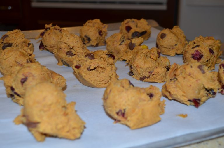 Pumpkin Cranberry Walnut Cookies - Kehoe Chiropractic